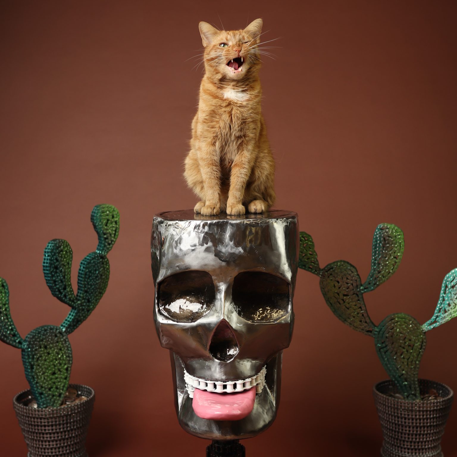 ART galerija Nester Custom